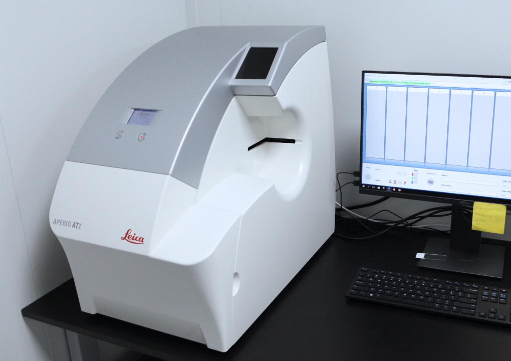 동물진단검사 - 그린벳